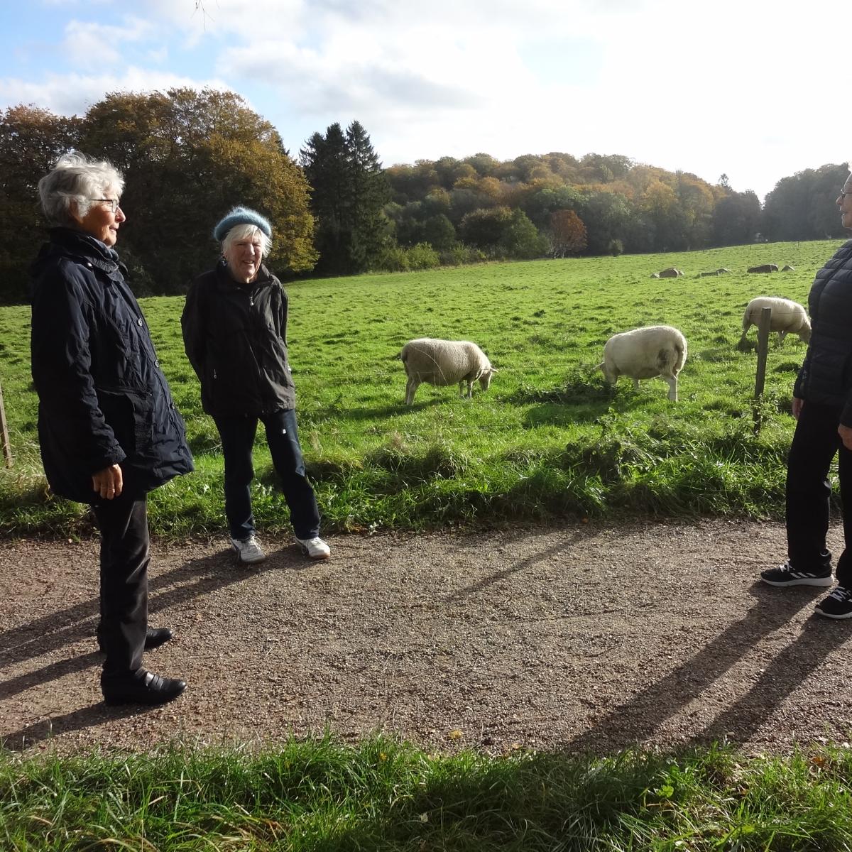 Plejecenter Sjælsø | Rudersdal Kommune